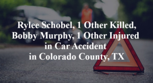 Rylee Schobel, 1 Other Killed, Bobby Murphy, 1 Other Injured in Car ...